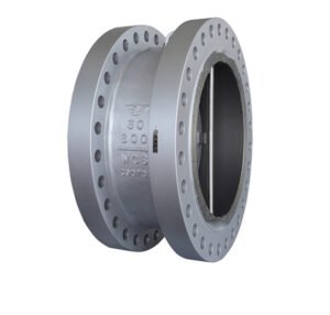 FBV Check Valves | Global Valve Supply | Gate Valves - Global Valve ...